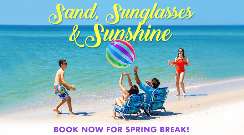 Sun, Sand And Spring Break