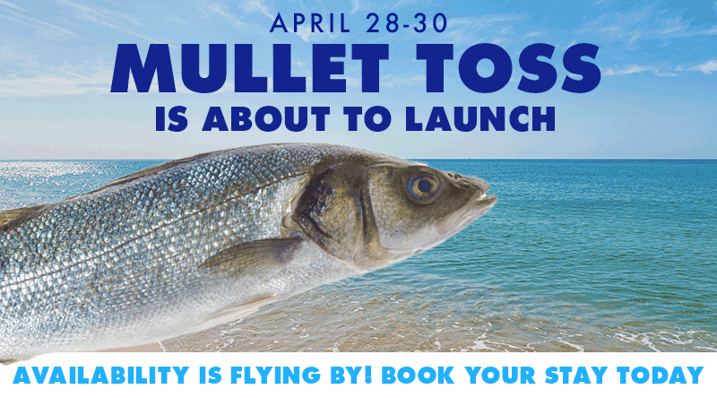 Mullet Toss Weekend Returns! 2023